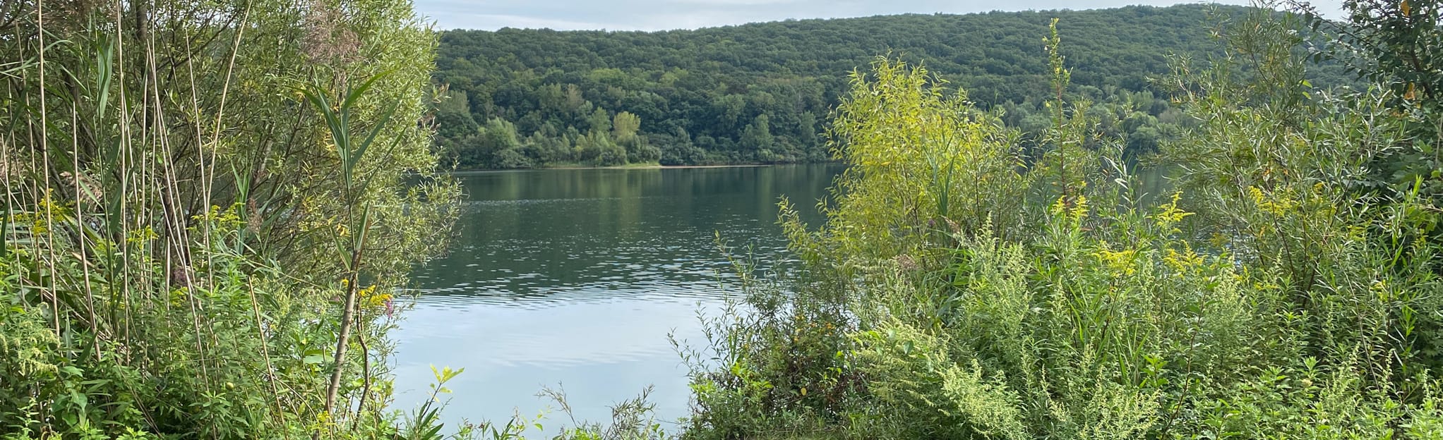 Trestle, Land of the Lost and Tilcon Lake Loop: 124 Reviews, Map - New ...