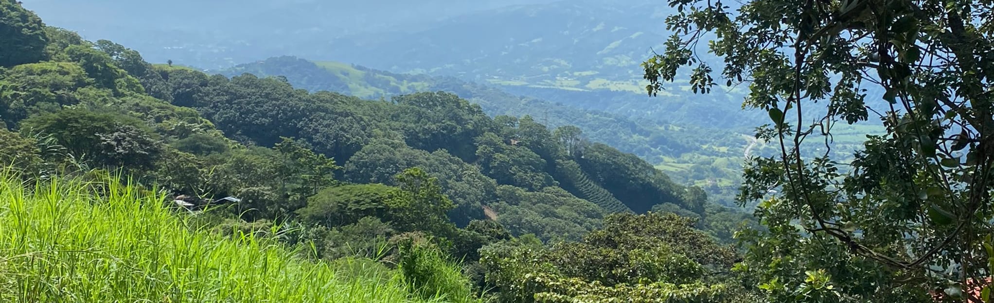 Jesús - Atenas - Barroeta: 16 foto - Alajuela, Costa Rica | AllTrails