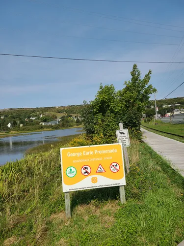 Best Forest Trails in Carbonear | AllTrails