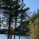 McGregor Beach, Ontario, Canada - 15 Reviews, Map | AllTrails