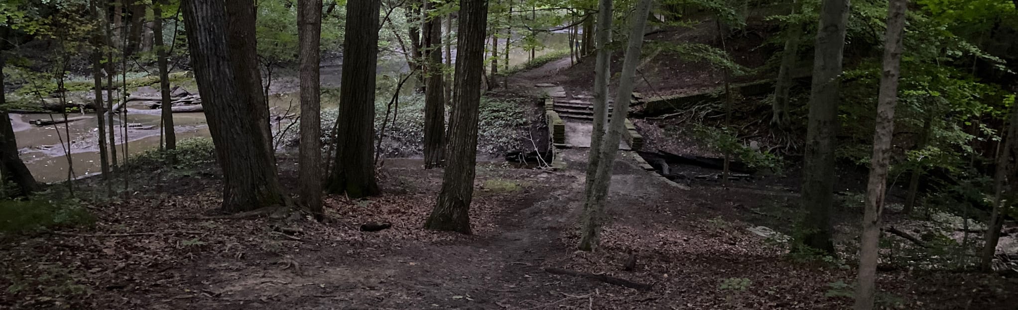 Stone Bridge Nature Trail: 27 Reviews, Map - Michigan | AllTrails