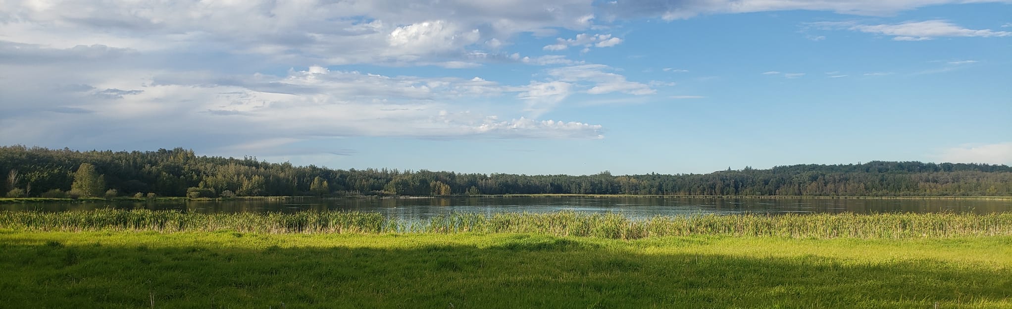 Centenial Park Napoleon Lake Loop: 29 Fotos - Alberta, Kanada | AllTrails