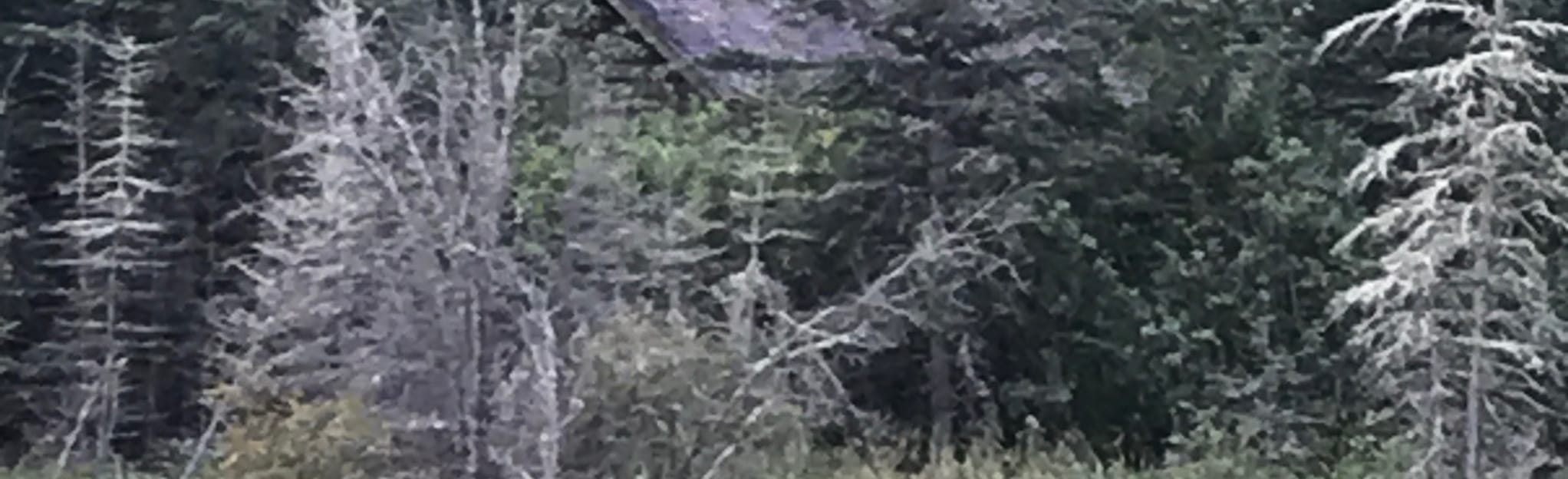 Prince Albert National Park Fire Tower Loop: 2 Reviews, Map ...