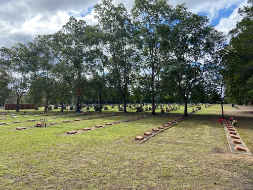 Best Hikes and Trails in Broken Bago State Forest | AllTrails