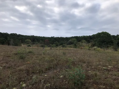 Best Hikes and Trails in Sandy Meadow Open Space | AllTrails