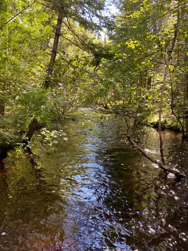 Best Hikes and Trails in Deep River | AllTrails