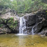 Avalon Loop Trail, Maryland - 293 Reviews, Map | AllTrails