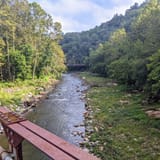 Avalon Loop Trail, Maryland - 293 Reviews, Map | AllTrails