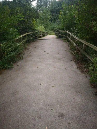 Best Hikes and Trails in Woolston Park | AllTrails