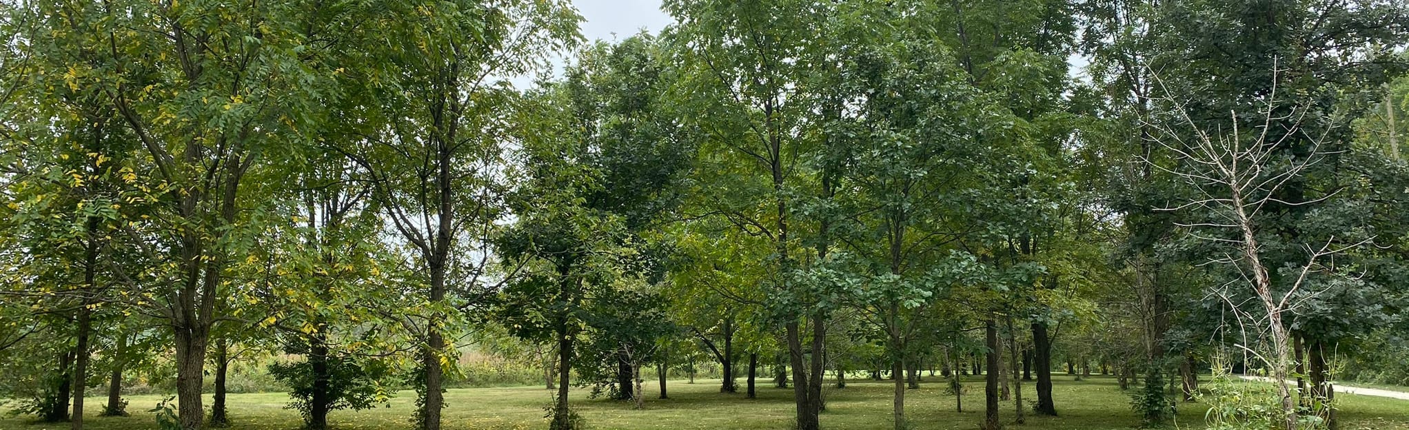 Strawtown Koteewi Southern Loop, Indiana - 296 Reviews, Map | AllTrails