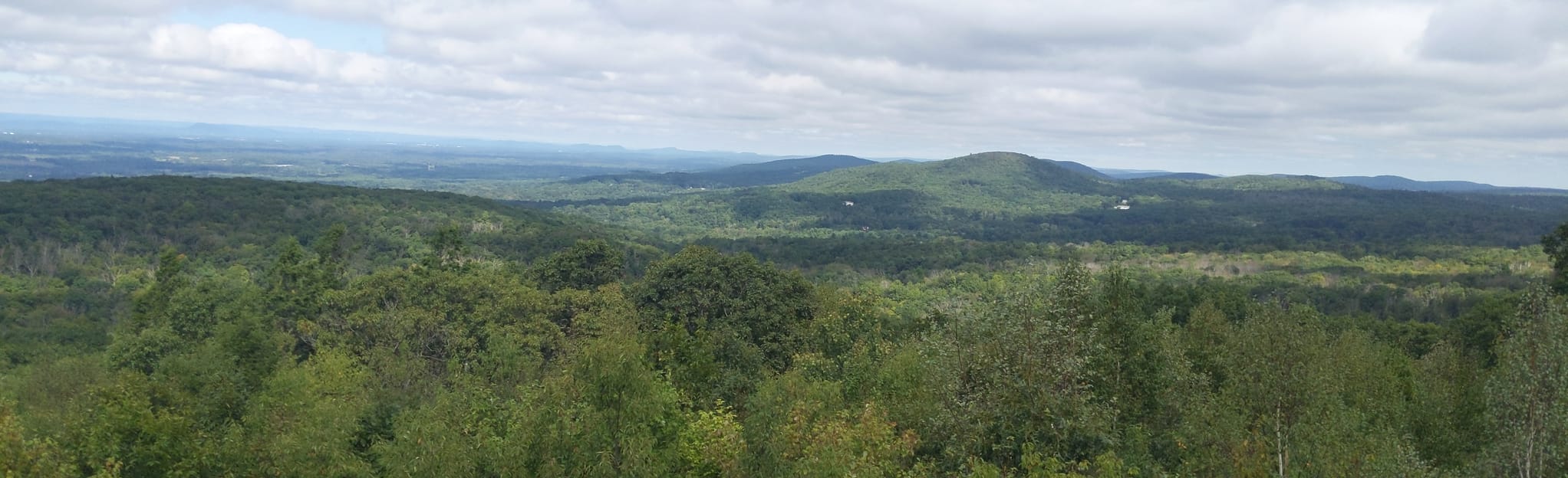 Shenipsit State Forest Loop: 265 Reviews, Map - Connecticut | AllTrails