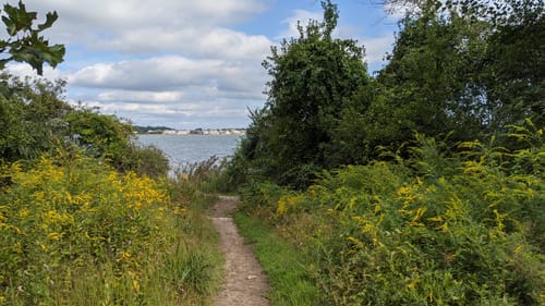 Best Hikes and Trails in Bluff Point State Park | AllTrails