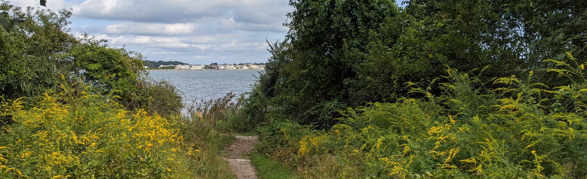 Bluff Point State Park Eastern Loop - Connecticut | AllTrails