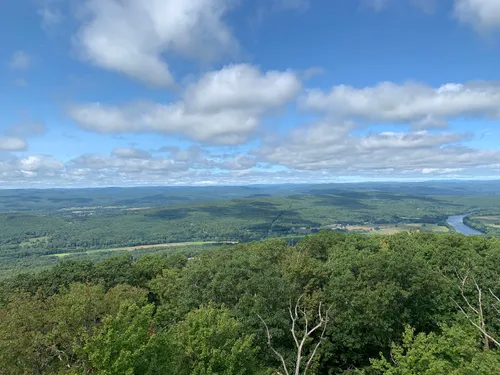 10 Best Hikes and Trails in Mount Toby State Forest | AllTrails