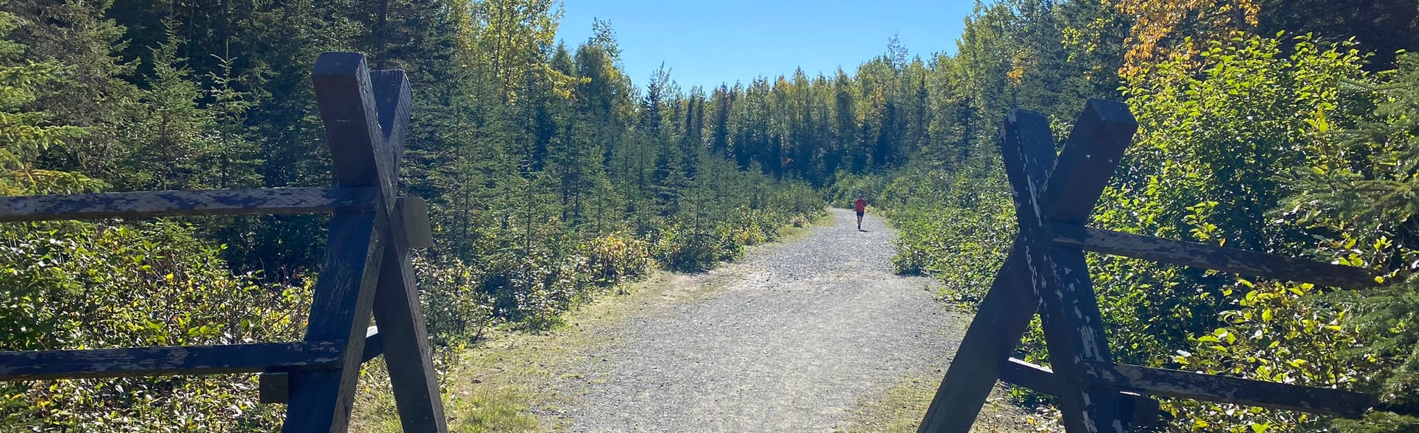 Lynx and Coyote Loop Trail: 150 Reviews, Map - Alaska | AllTrails