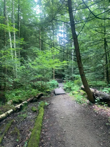 Best Hikes and Trails in White Rocks National Recreation Area | AllTrails