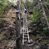 Mount Santubong, Sarawak, Malaysia - 74 Reviews, Map | AllTrails