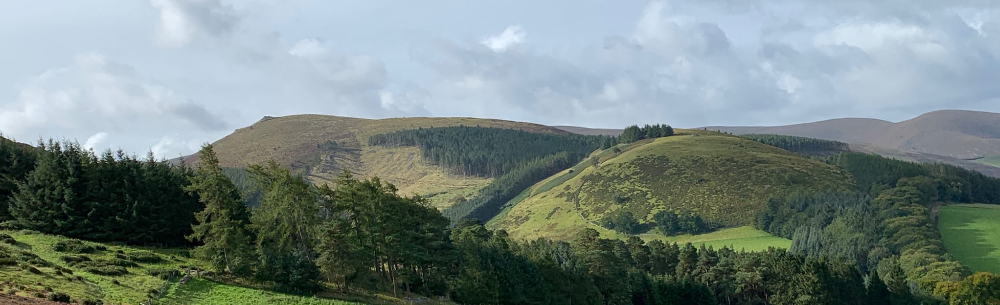 Peebles, Cardrona Forest, and Gypsy Glen Loop, Scottish Borders ...