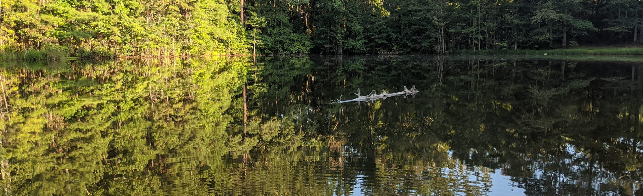 Clinton Nature Preserve Loop, Georgia - 509 Reviews, Map | AllTrails