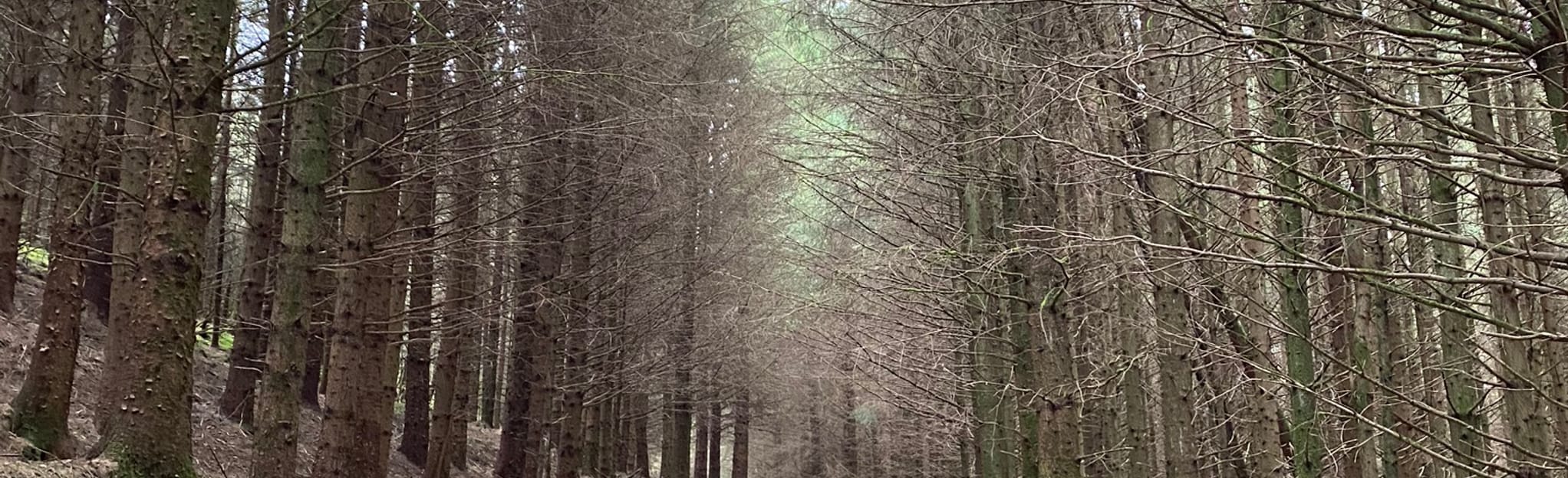 Ballard Waterfall Loop : 8 photos - County Cork, Irlande | AllTrails