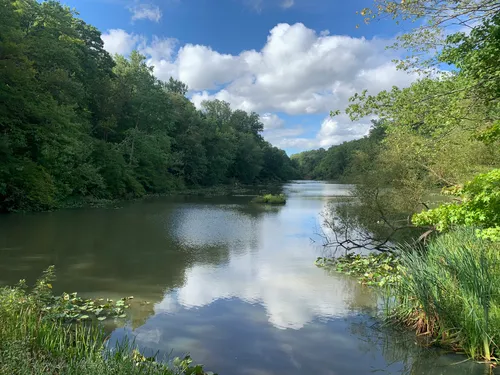 10 Best Hikes and Trails in Watchung Reservation | AllTrails