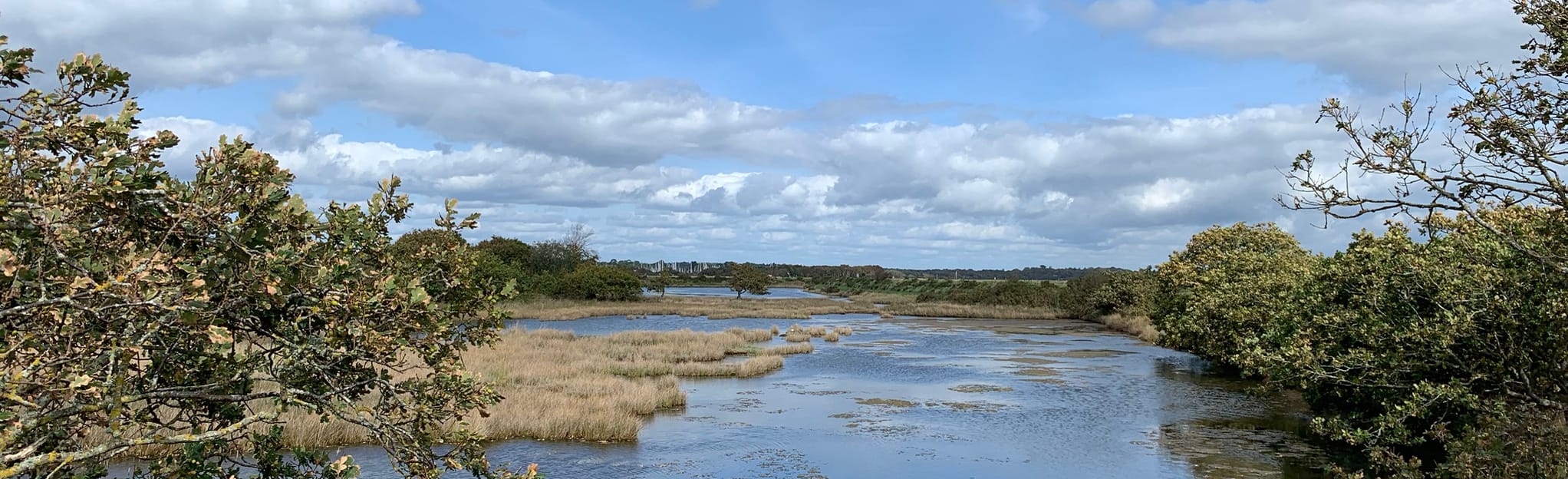 Pennington Marshes Circular: 128 Fotos - Hampshire, England | Wandern ...