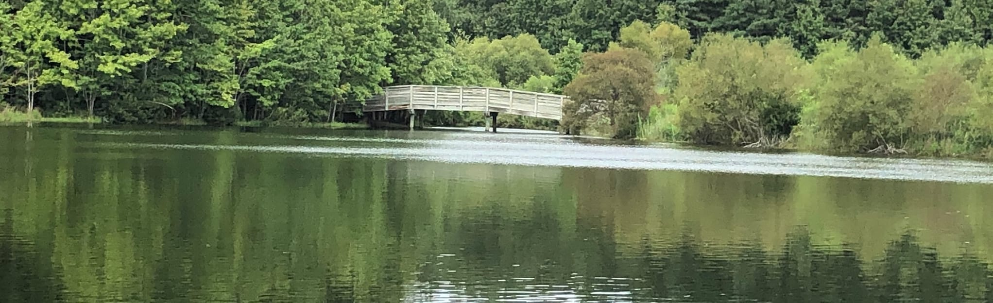 Osprey Point Trail: 59 Reviews, Map - Virginia | AllTrails