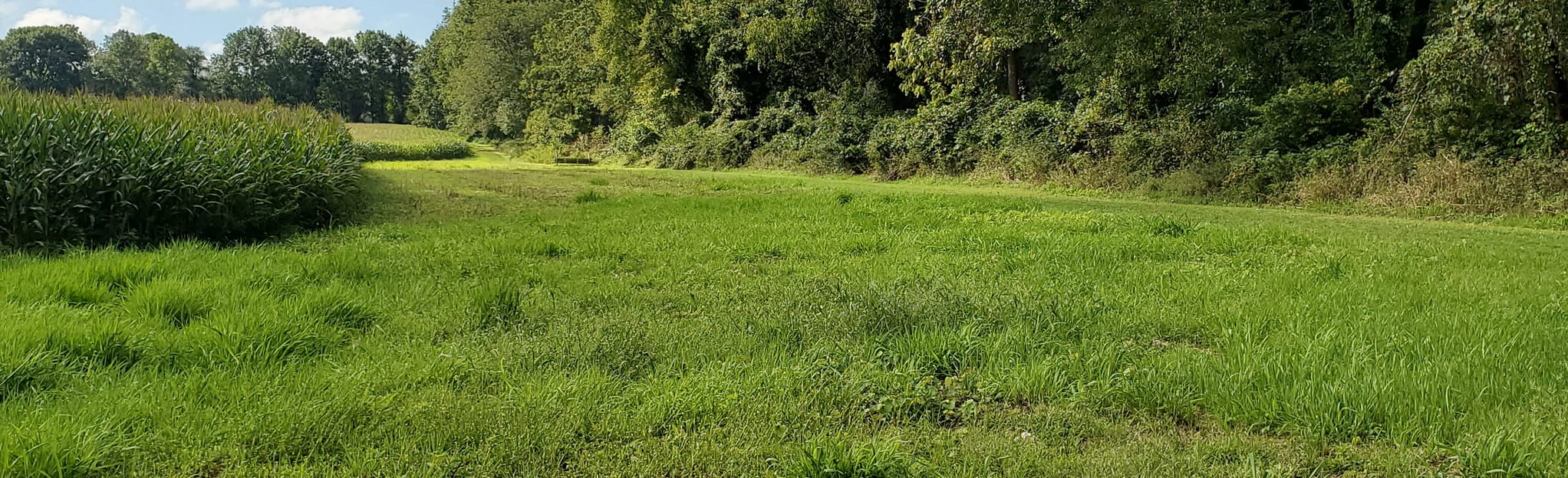 Christie Hoffman Farm Perimeter Loop: 20 Reviews, Map - New Jersey ...