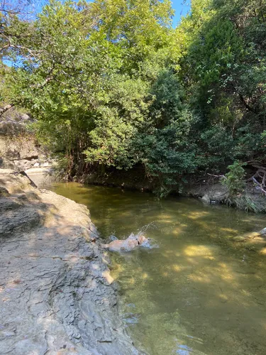 Best Hikes and Trails in Walnut Creek Metropolitan Park | AllTrails