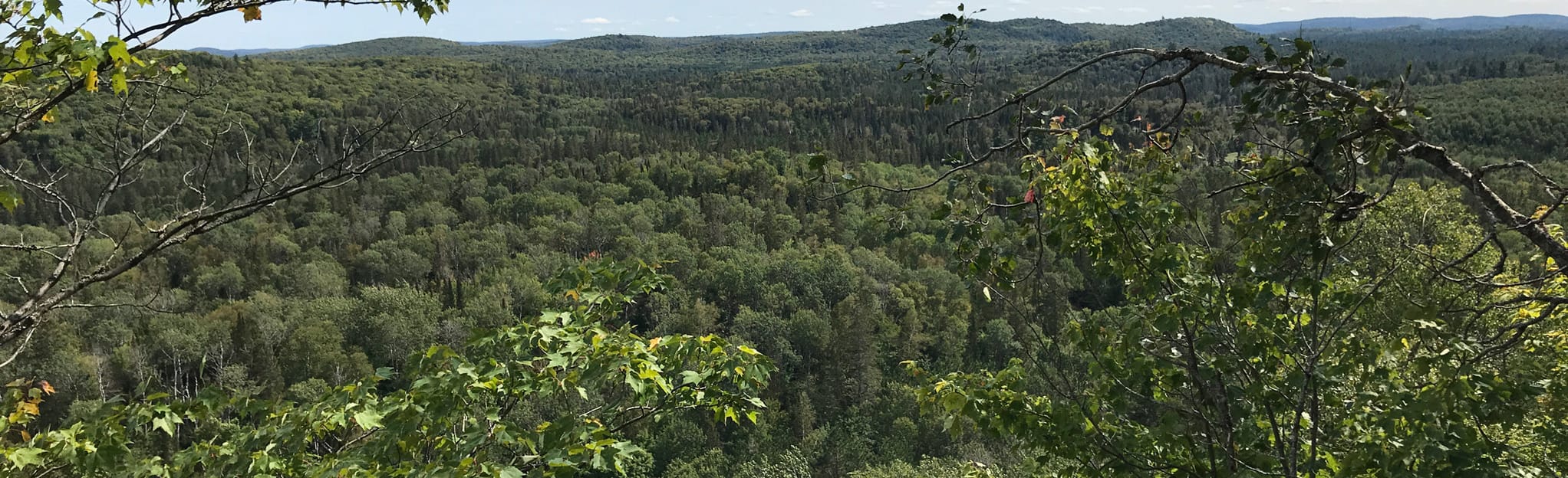 Moose Mountain Loop: 19 Reviews, Map - Ontario, Canada | AllTrails