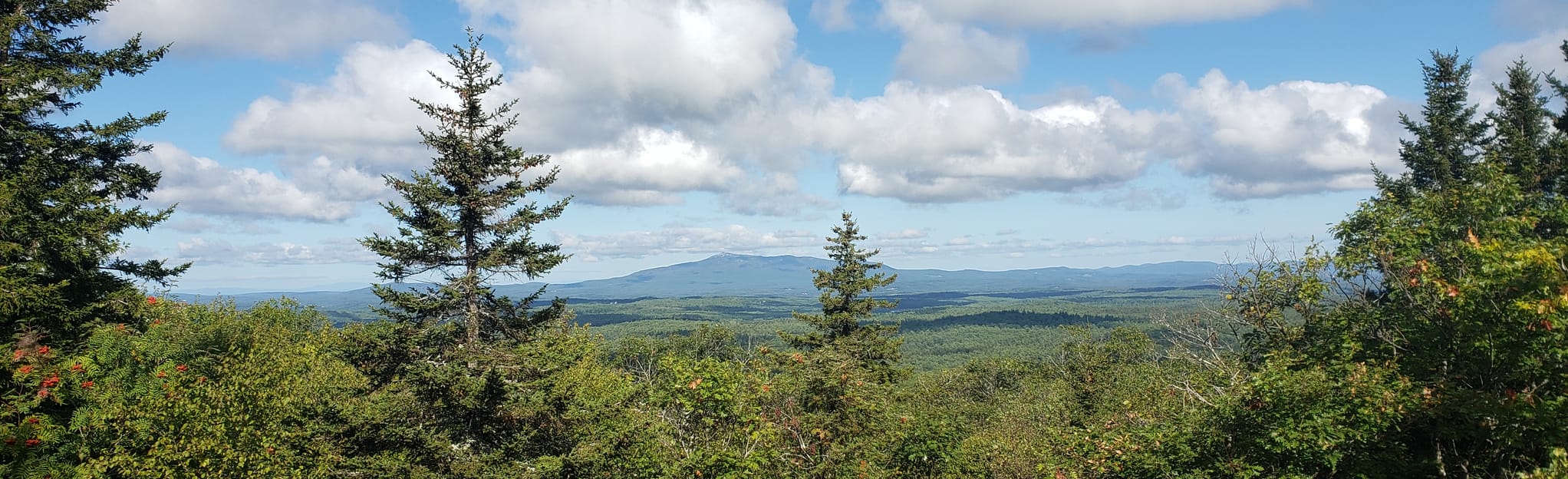 Mount Watatic to Barrett Mountain via Wapack Trail: 2.299 foto ...