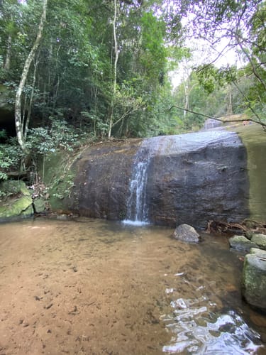 Best 10 Hikes and Trails in Tijuca National Park | AllTrails