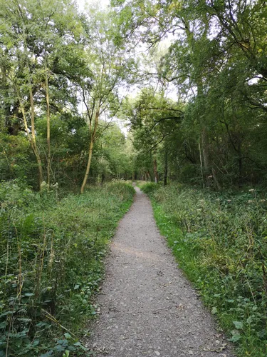 10 Best Trails and Hikes in Northampton | AllTrails