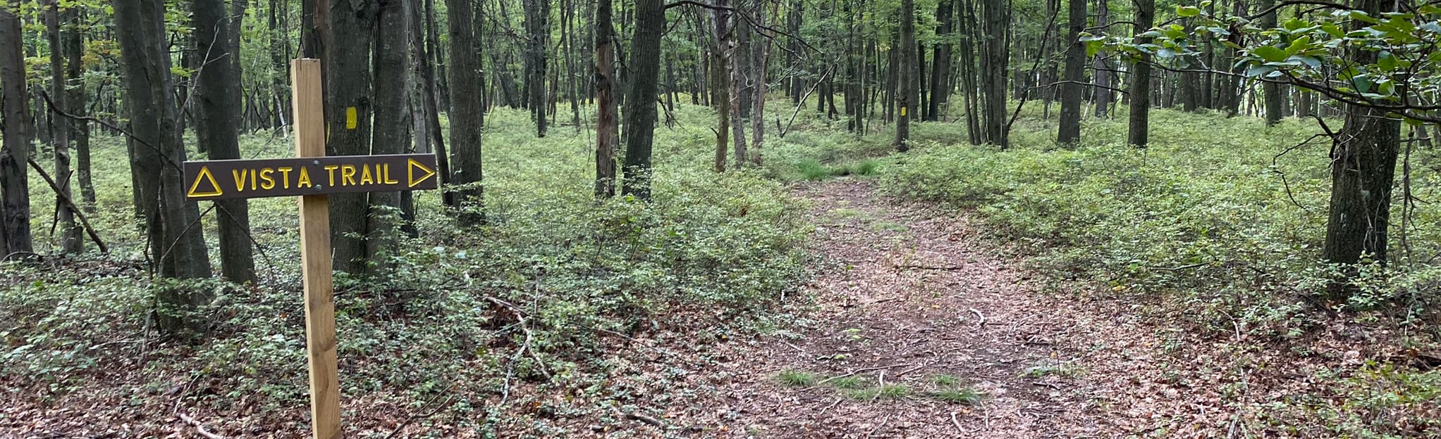 Bald Mountain Vista Trail - Pennsylvania | AllTrails