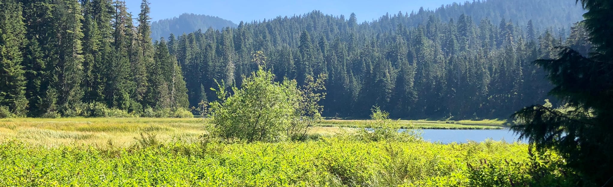 Mink Lake Trail to Bogachiel River and Slide Peak Route #2 - Washington ...