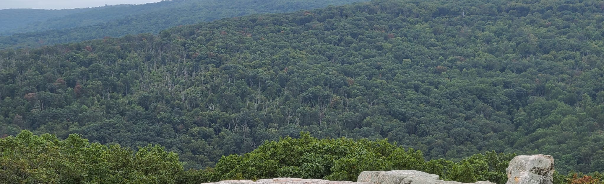 Thurmont Gateway and Crow's Next Trail, Maryland - 74 Reviews, Map ...
