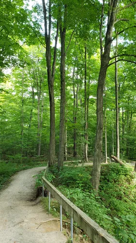 10 Best Trails and Hikes in Waterloo | AllTrails