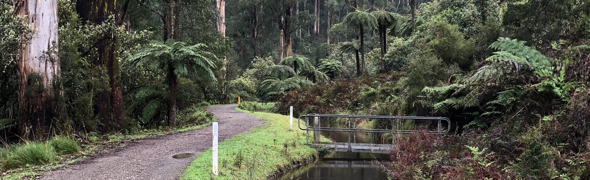 Coranderrk and Lyrebyrd Tracks: 19 Reviews, Map - Victoria, Australia ...