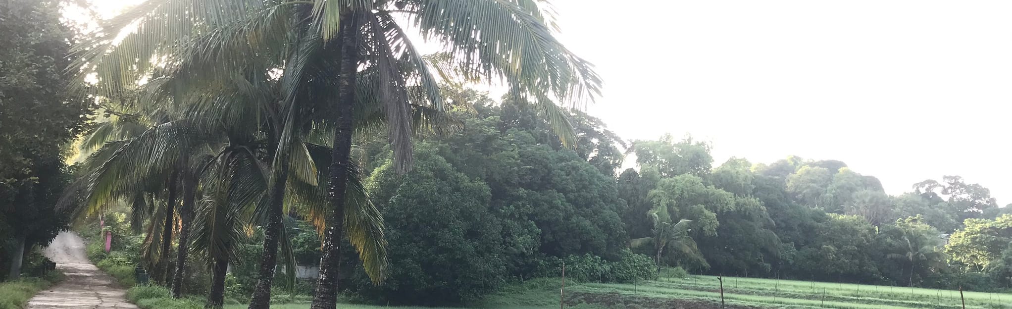 Dona Remedios Trinidad Trail: 6 Reviews, Map - Bulacan, Philippines ...