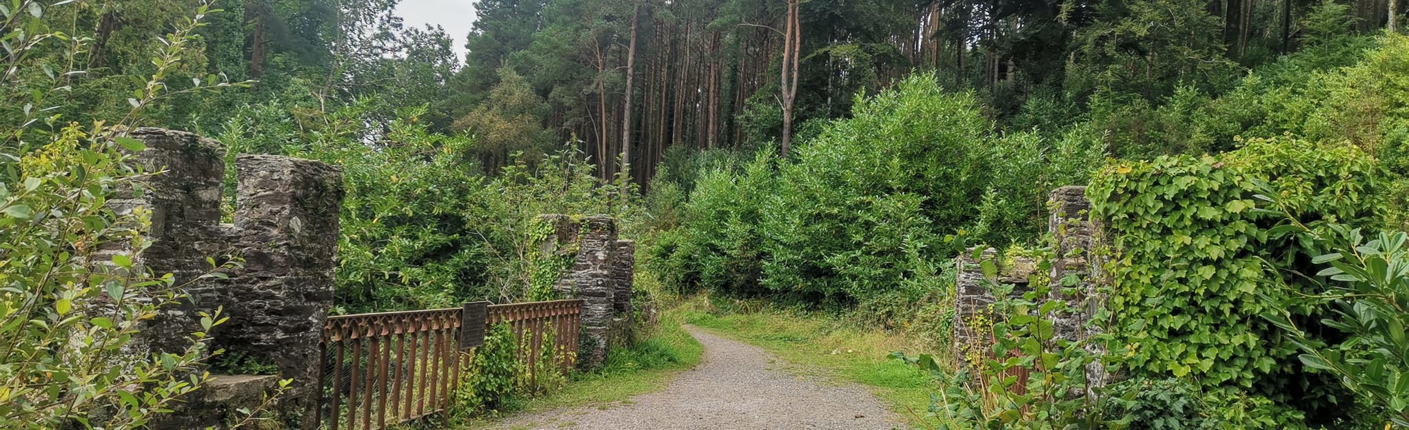 Glenbower Woods Loop - Blue Way : 101 Photos - County Cork, Irlande ...