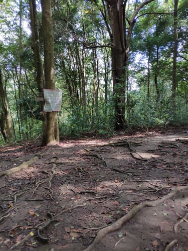 2023 Best Views Trails in Hutan Lipur Soga Perdana | AllTrails