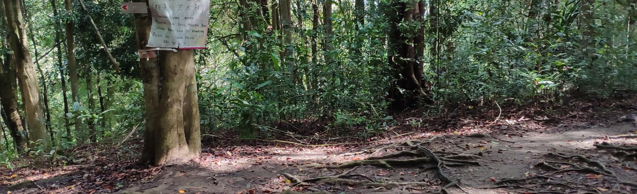 Soga Hill via Sentosa Park: 6 Reviews, Map - Johor, Malaysia | AllTrails