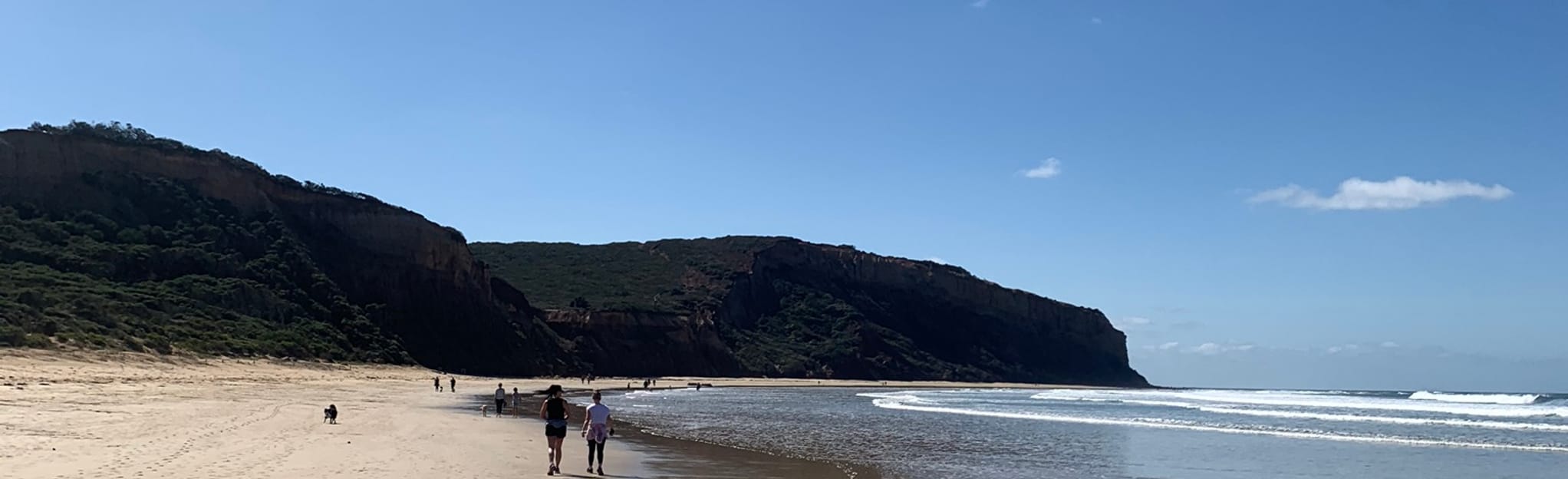 Bells Beach Lookout via Point Addis: 217 Fotos - Victoria, Australien ...