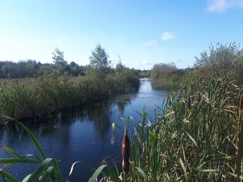 Best Historic Site Trails in Lough Boora Discovery Park | AllTrails