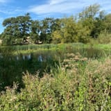 Thornton Reservoir and Bagworth Heath Woods Circular, Leicestershire ...