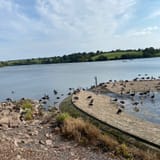 Thornton Reservoir and Bagworth Heath Woods Circular, Leicestershire ...
