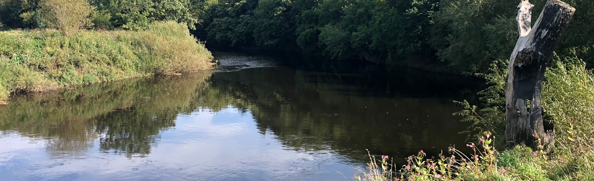 Boston Spa Circular Walk: 224 foto's - West Yorkshire, Engeland | AllTrails