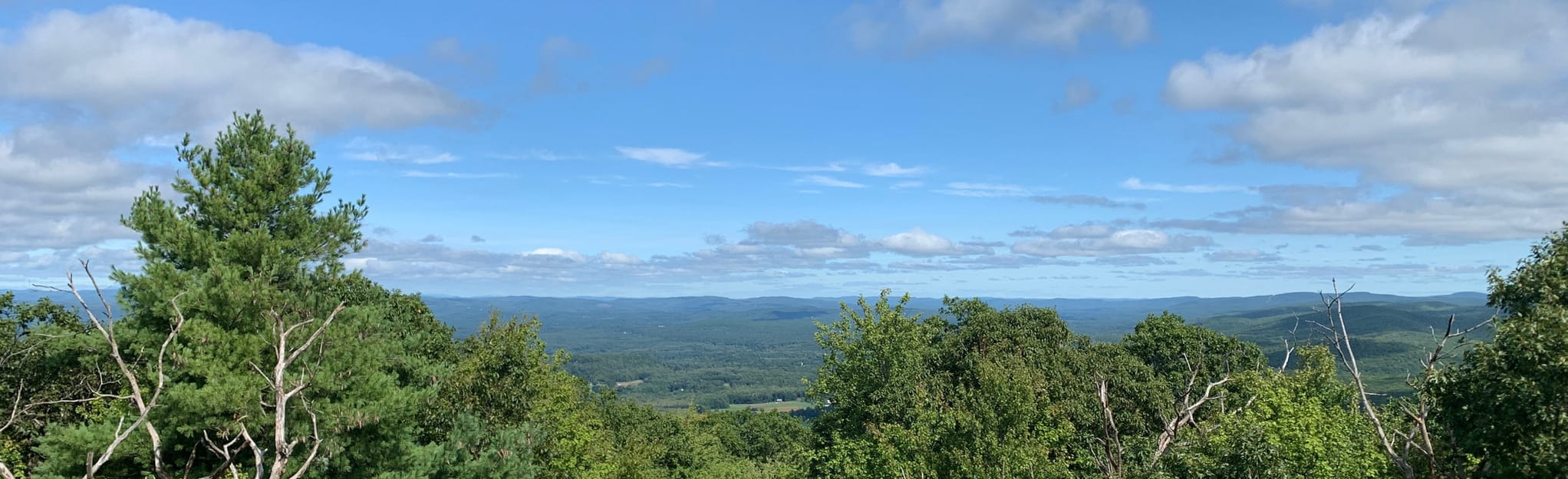 AllTrails | Mount Toby via Sugar Farms to Summit to Tower Loop: 278 ...