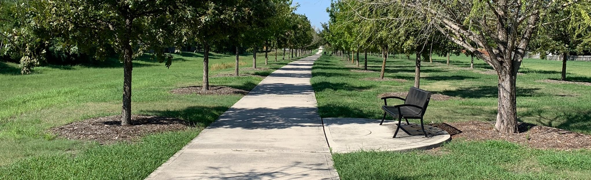 County Line Memorial Trail: 91 Reviews, Map - Texas | AllTrails