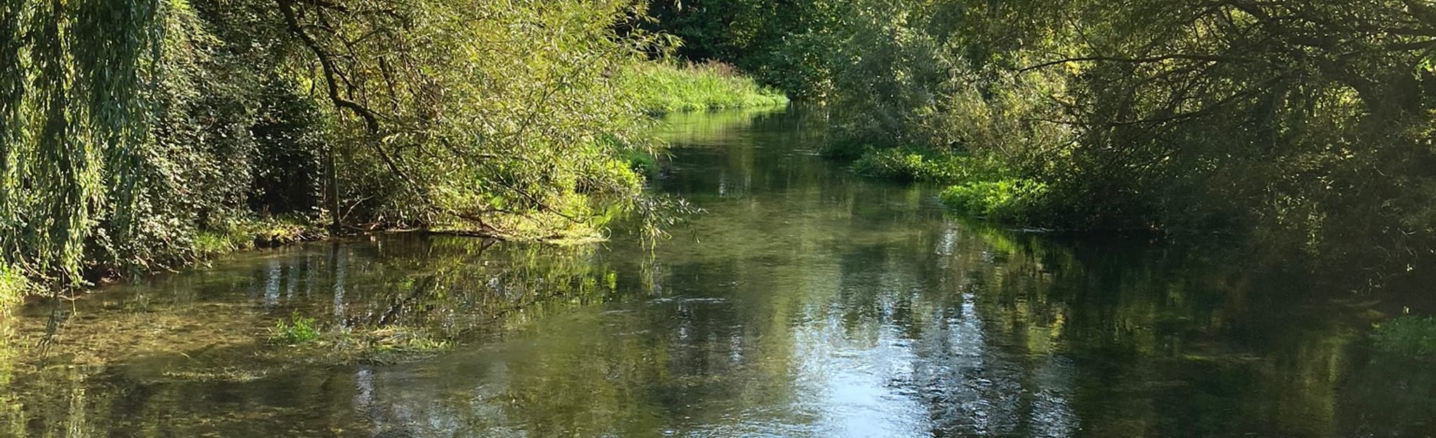 Twyford - Shawford Circular: 131 Fotos - Hampshire, England | AllTrails